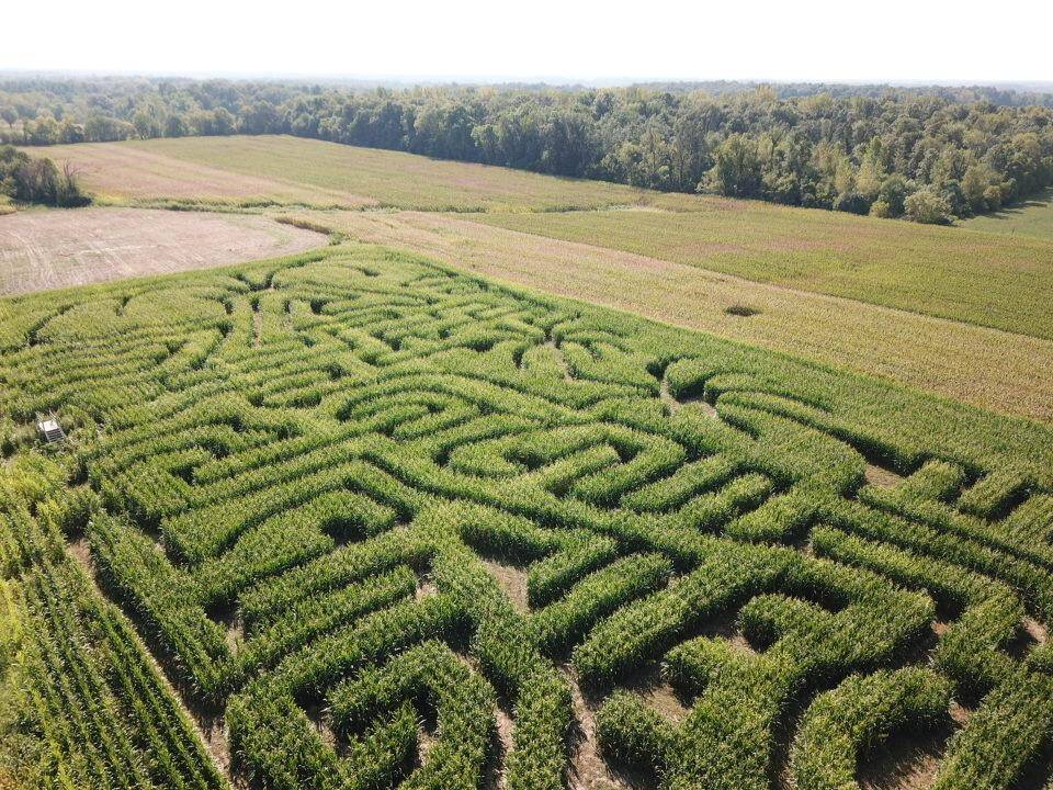 Fall Fest - Corn Maze & Pumpkin Patch | Pot-Luck Greenhouse